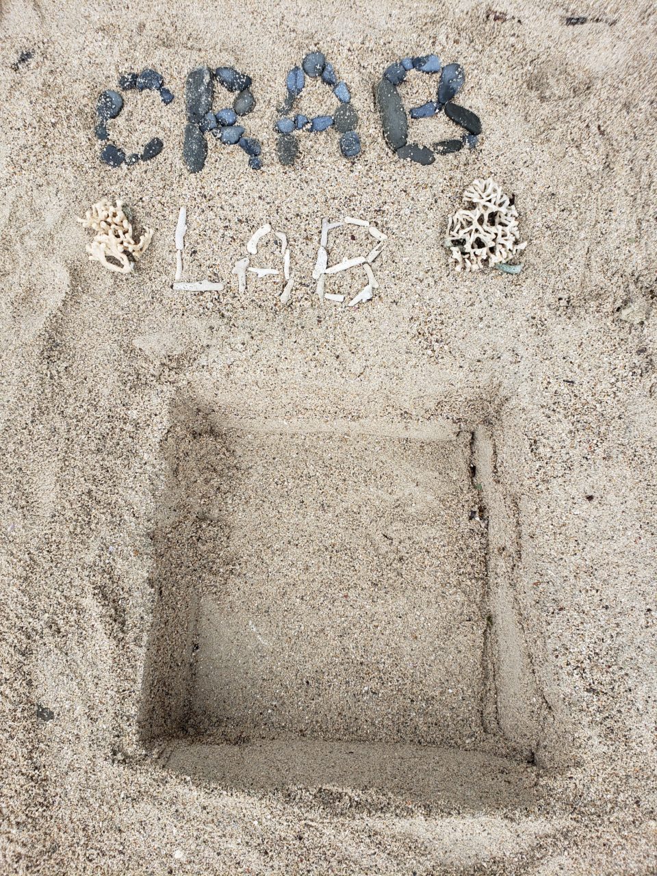 CRAB LAB – The Digital Naturalism Conference