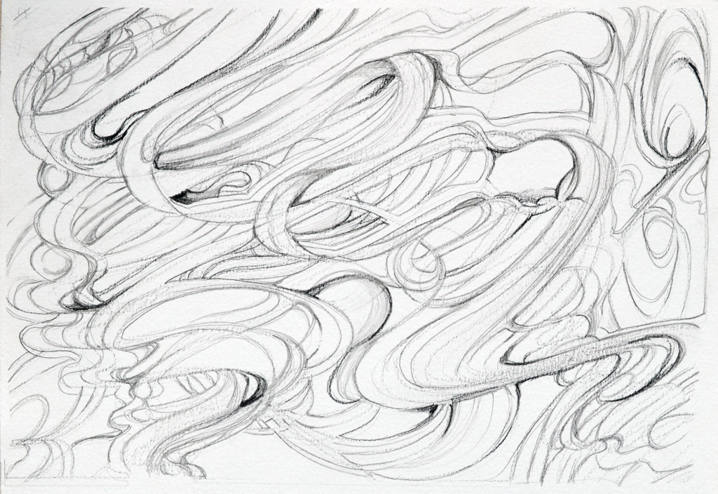 Procedural Naturalist Drawings- Jennifer Jacobs – The Digital ...