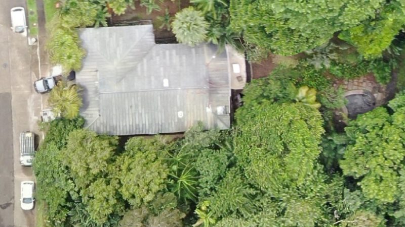 Aerial Map of Gamboa – The Digital Naturalism Conference