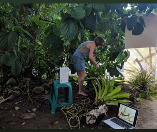 Butterfly Wing Site-Specific Installation – Emily Volk – The Digital ...