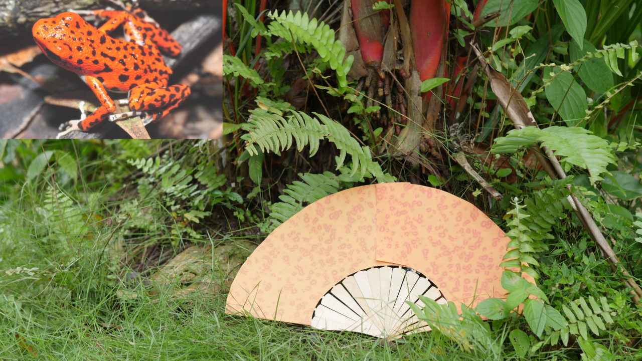 Froggy camouflage handheld fans – The Digital Naturalism Conference